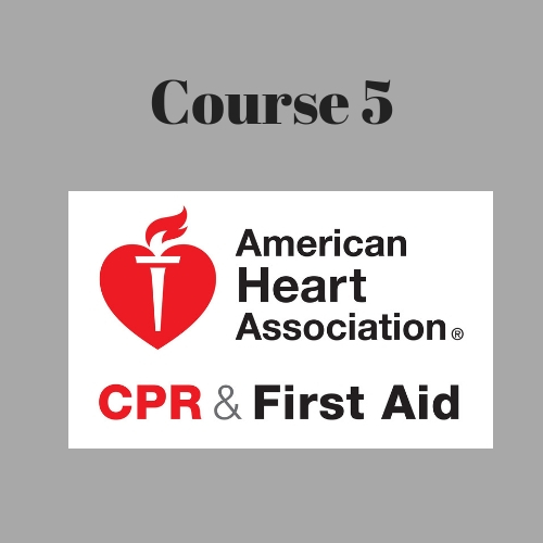 Course 5: American Heart Association Heartsaver CPR & AED with Basic ...